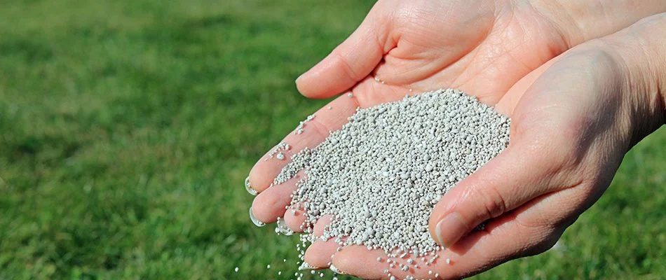 Lawn Care Services In Tyler TX | Home Services Company