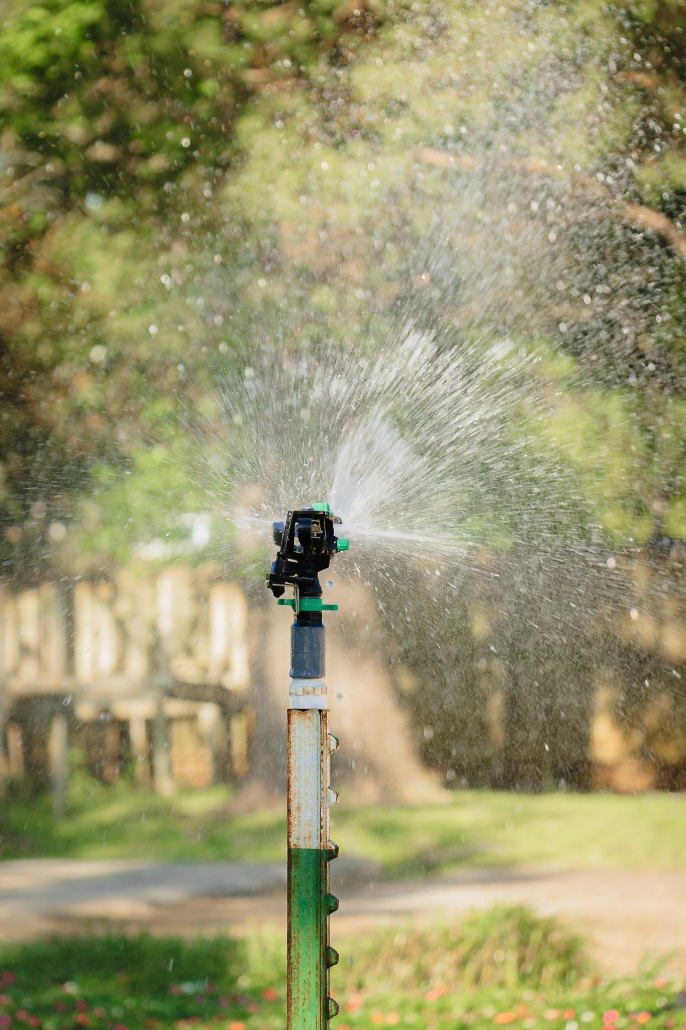 Lawn Care Services In Bullard TX | Landscaping