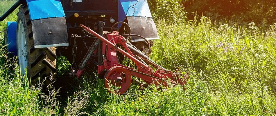 Bush Hogging Services In Tyler TX | Request A Quote