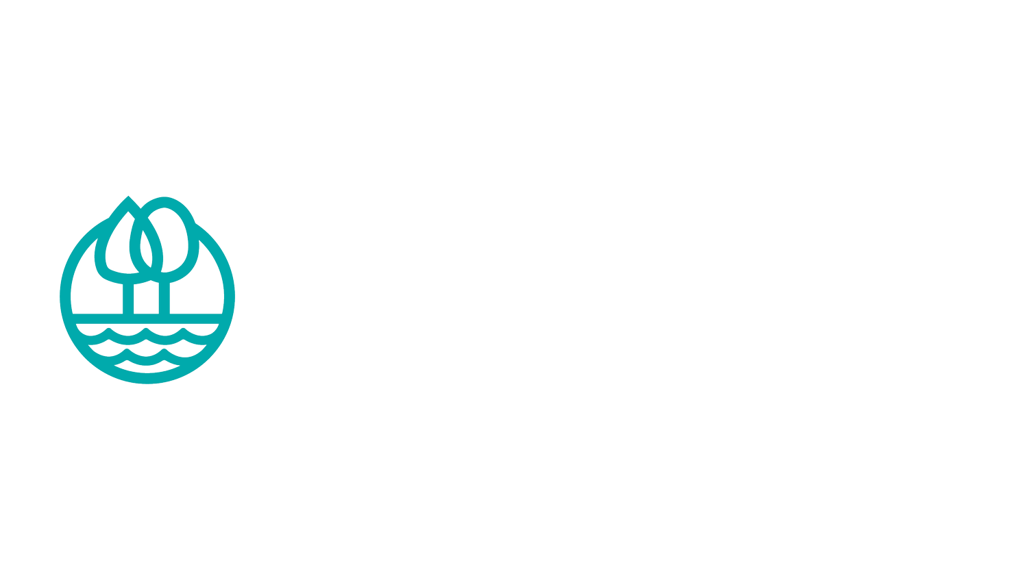Beyond Boundaries