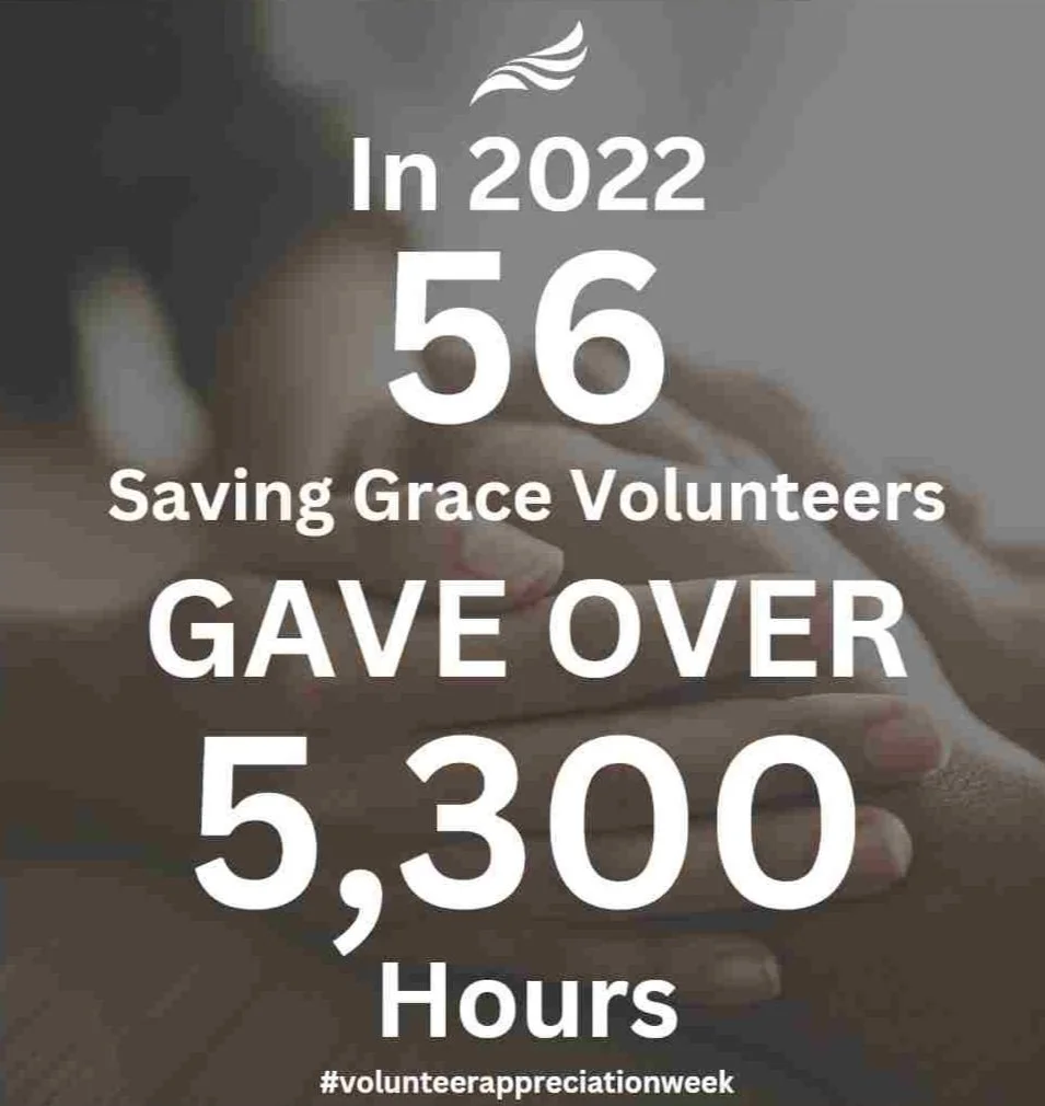 Volunteer — Saving Grace | Support for Survivors of Intimate Partner ...