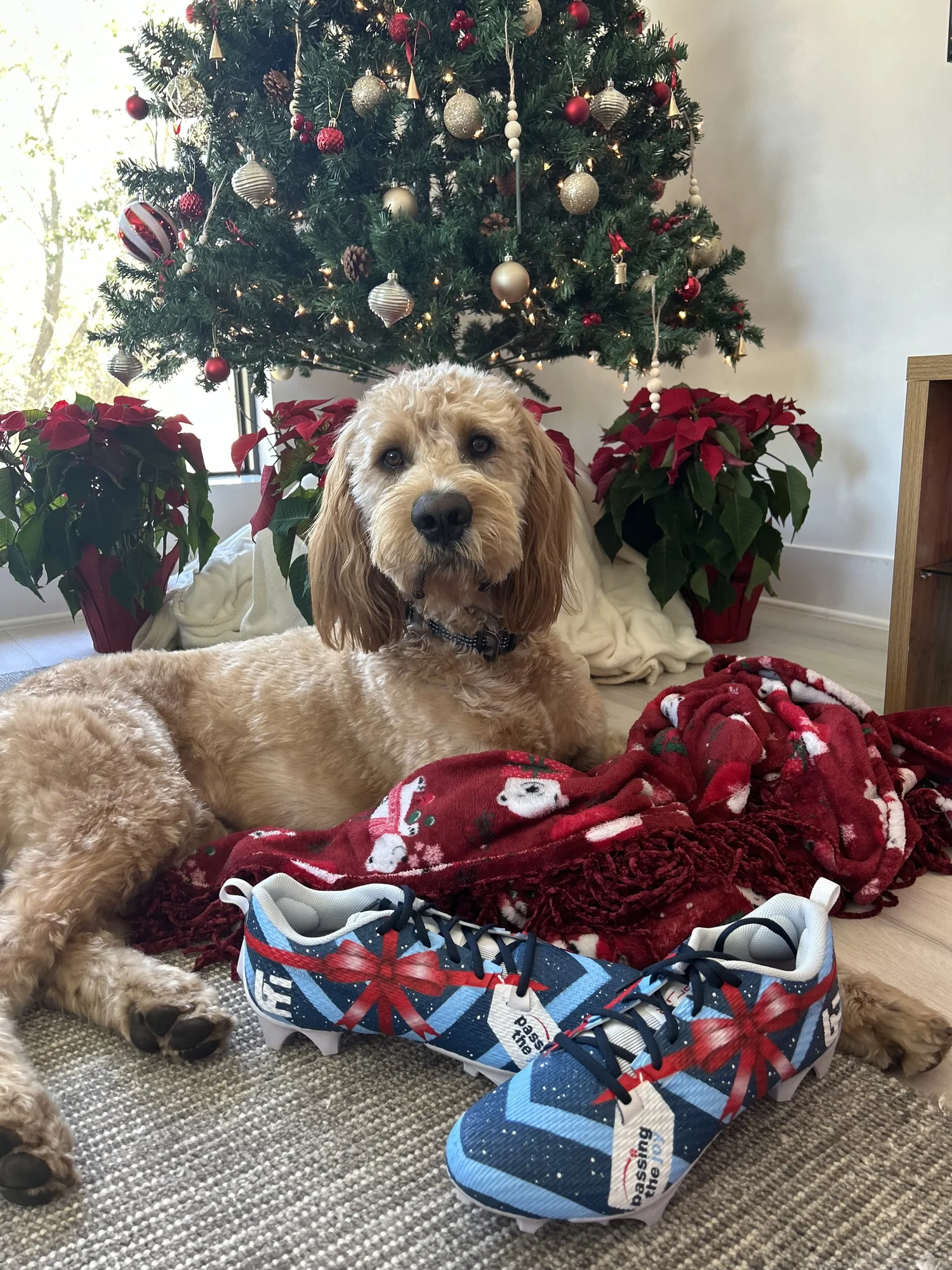 About Us — Baker & Emily Mayfield Foundation