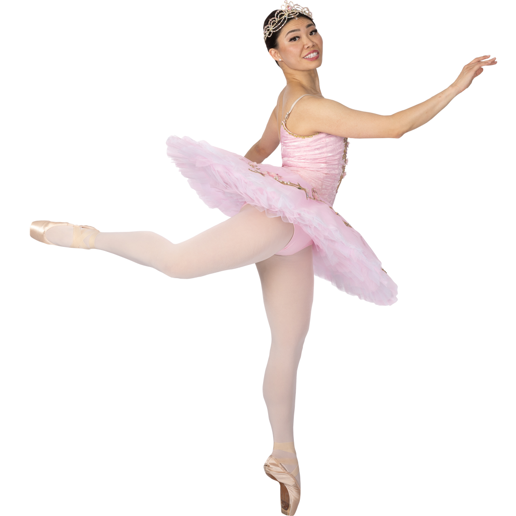 Adult Ballet — PRO DANCE