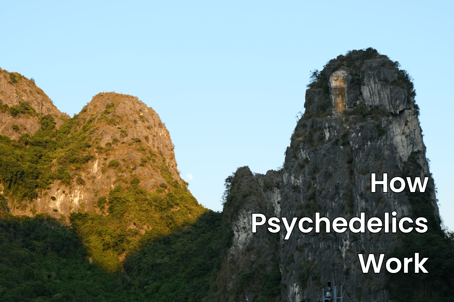 How Psychedelics Work: Inner Healing and Brilliant Sanity