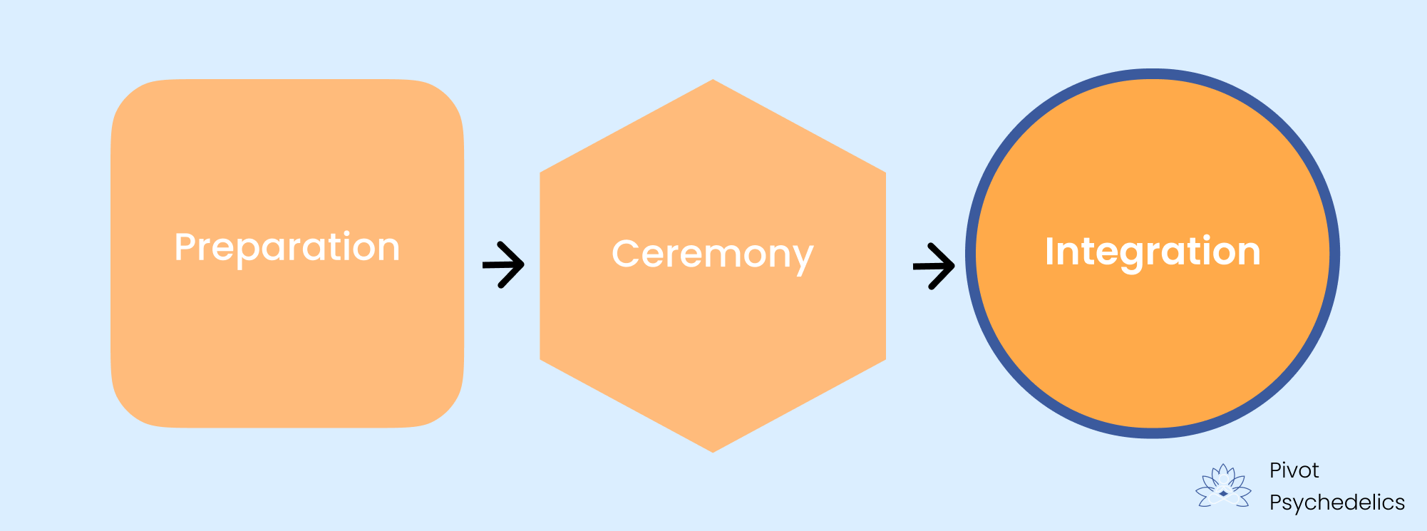 Psychedelic Integration Therapy Process