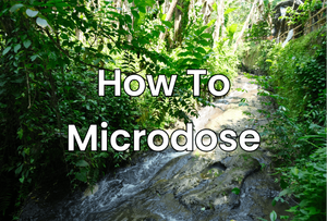 How to Microdose Psychedelics