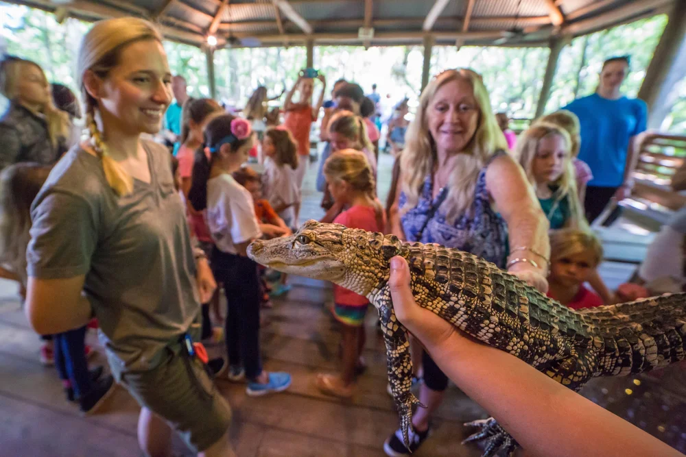 Mission & History — Busch Wildlife Sanctuary