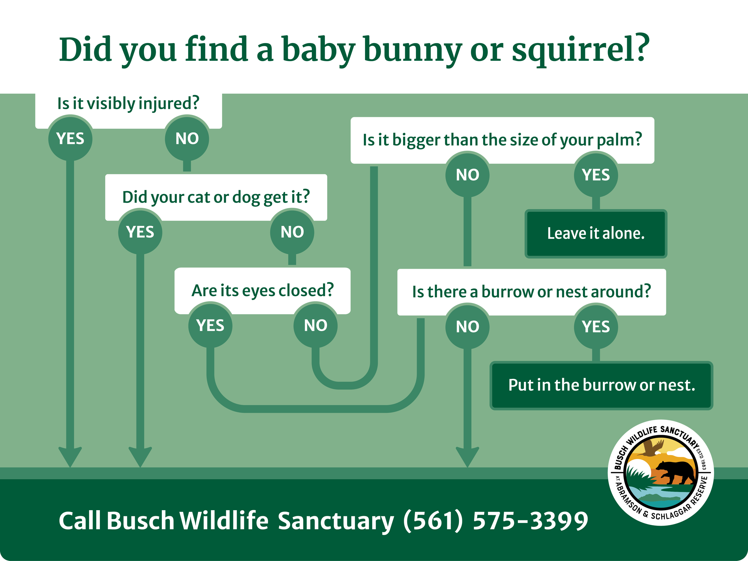 Rescue & Rehab — Busch Wildlife Sanctuary