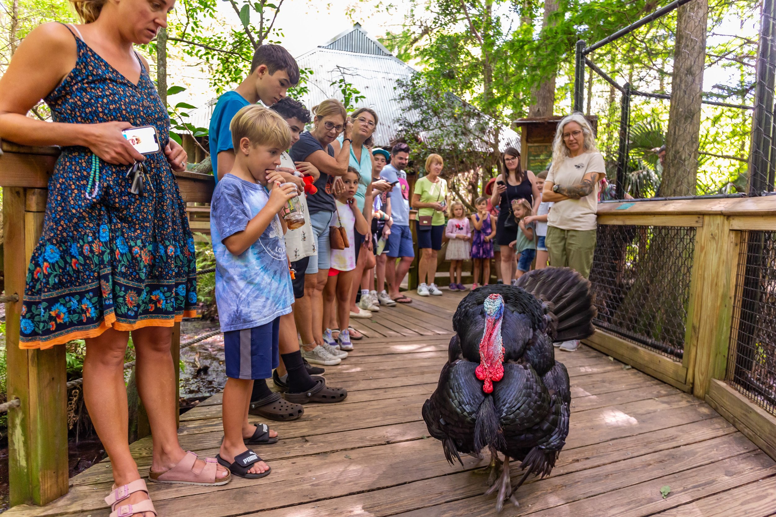 Educational Programs — Busch Wildlife Sanctuary