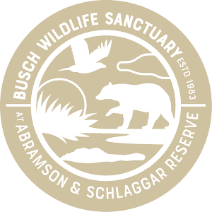 Plan Your Visit — Busch Wildlife Sanctuary