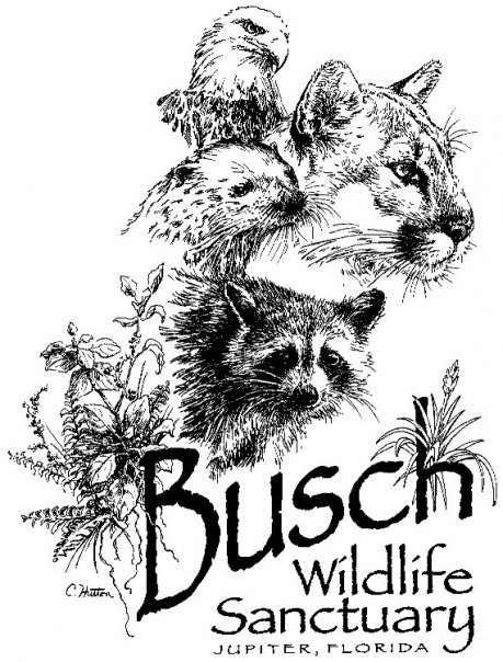 Mission & History — Busch Wildlife Sanctuary
