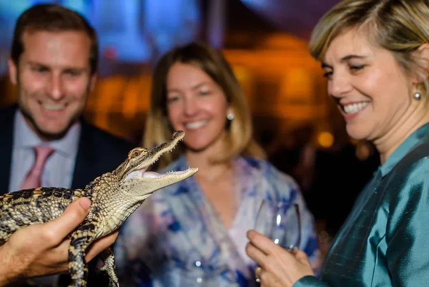 Experiences & Events — Busch Wildlife Sanctuary