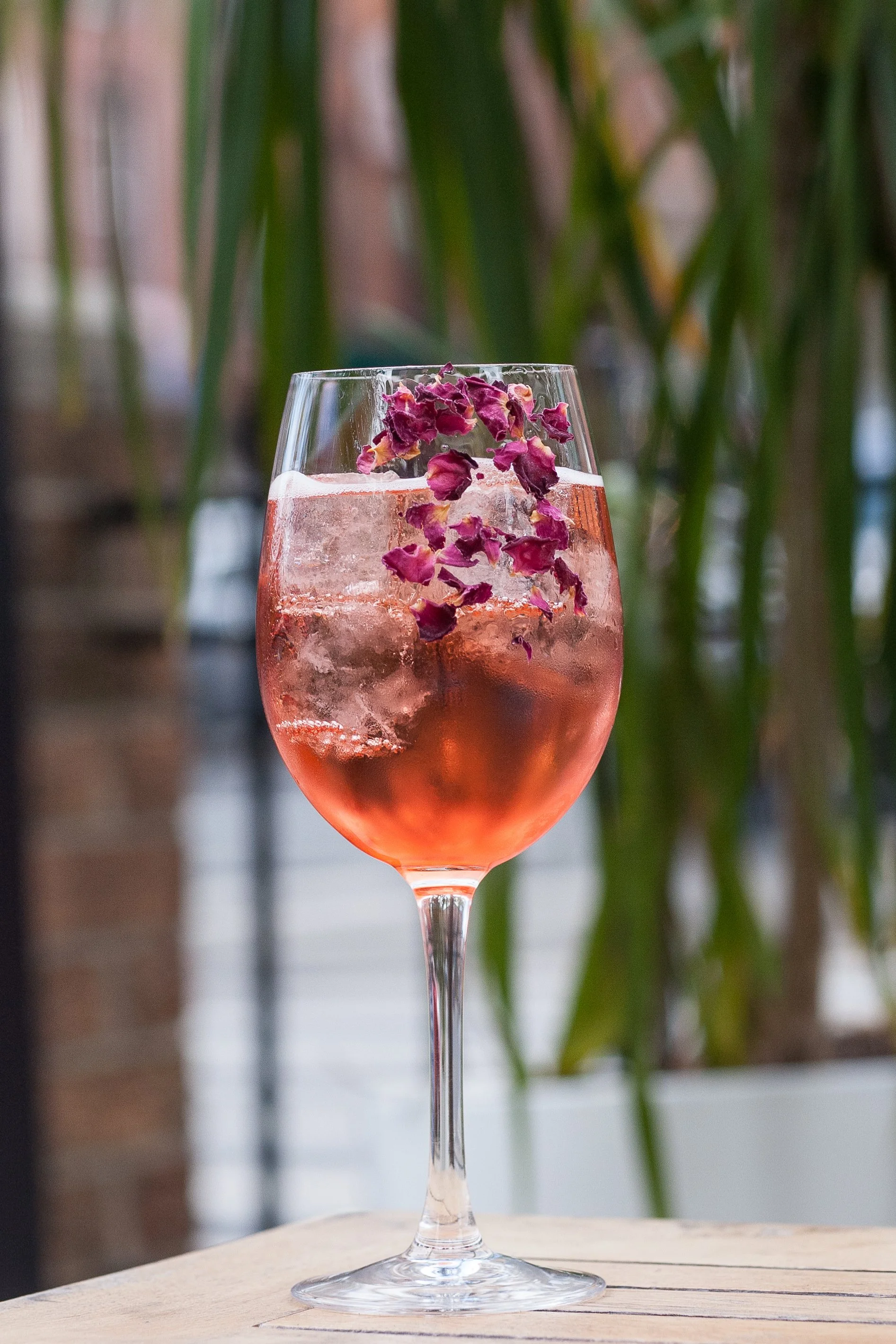 Gallery — Luana's Tavern