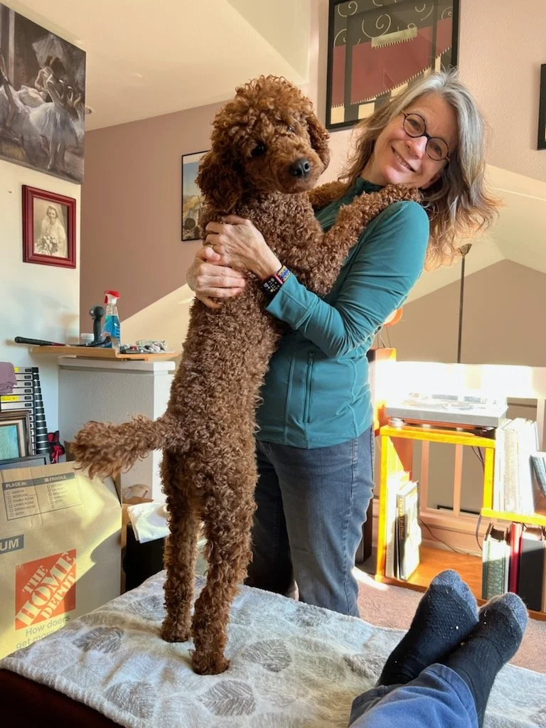 Idaho Jewels Poodles — Gallery & Testimonials