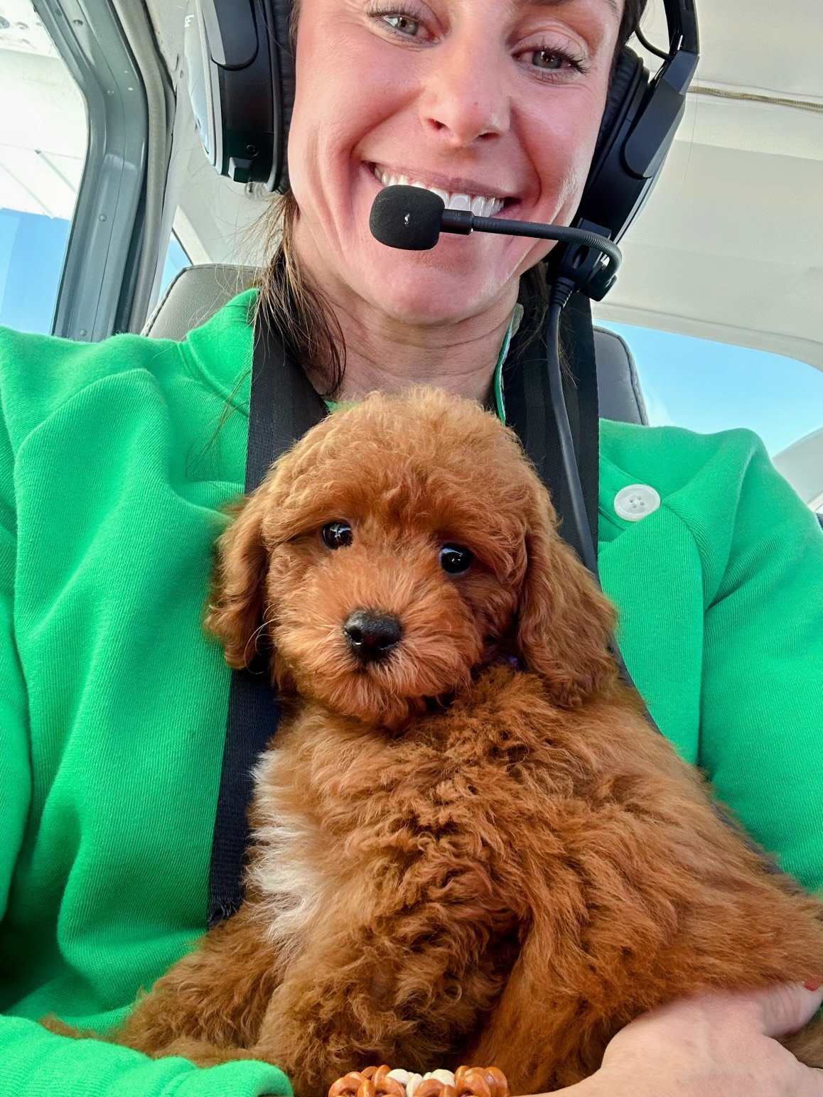 Idaho Jewels Poodles — Meet Piper