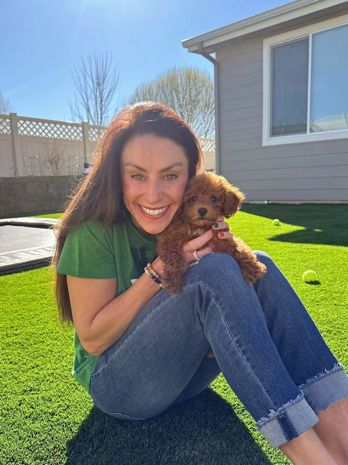 Idaho Jewels Poodles — The Importance of Collaboration