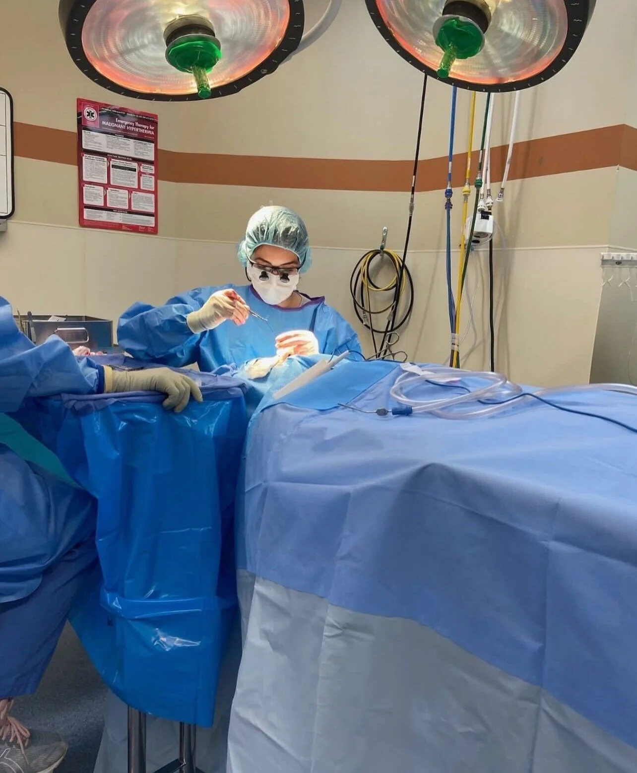 The Naz Experience | Dr. Maryam Nazemzadeh | Cosmetic Surgery + Injectables