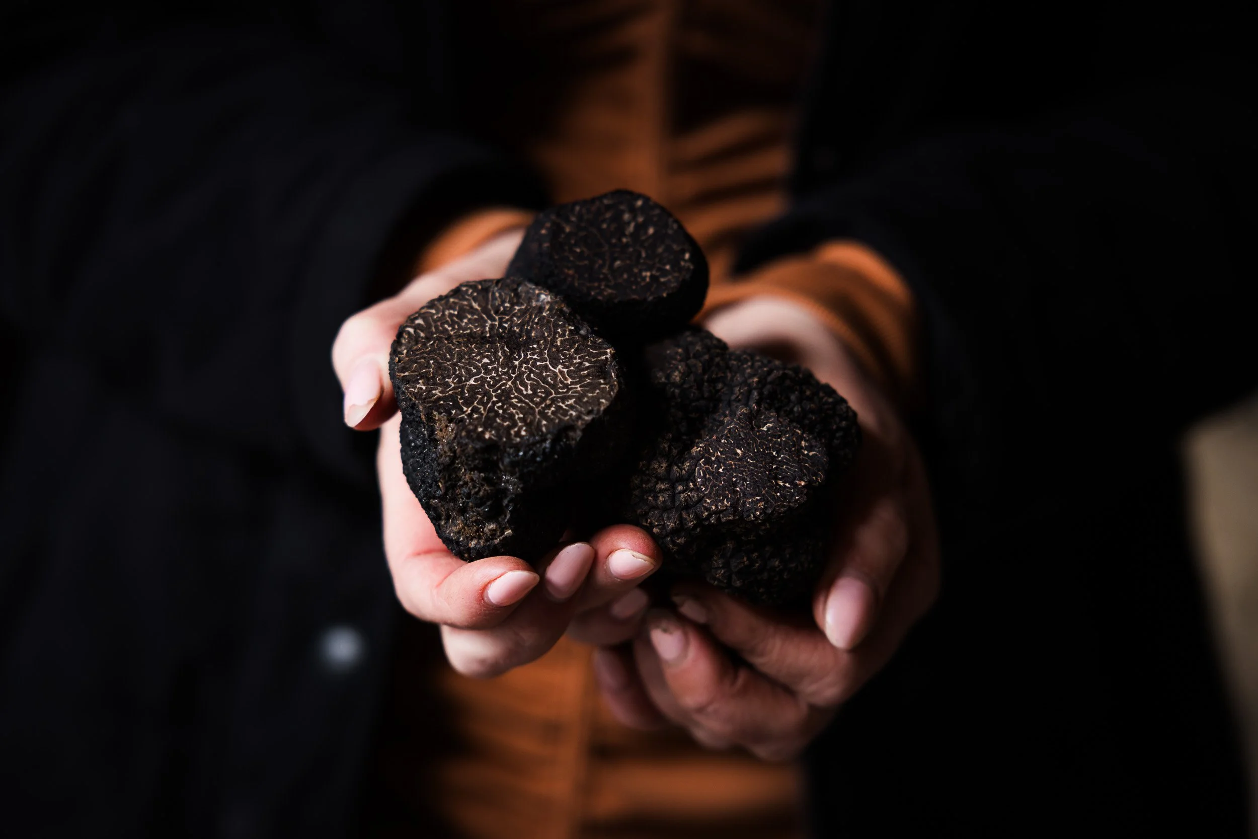 Truffle Hunts at Beltana Farm | Canberra’s Black Truffle Experience ...