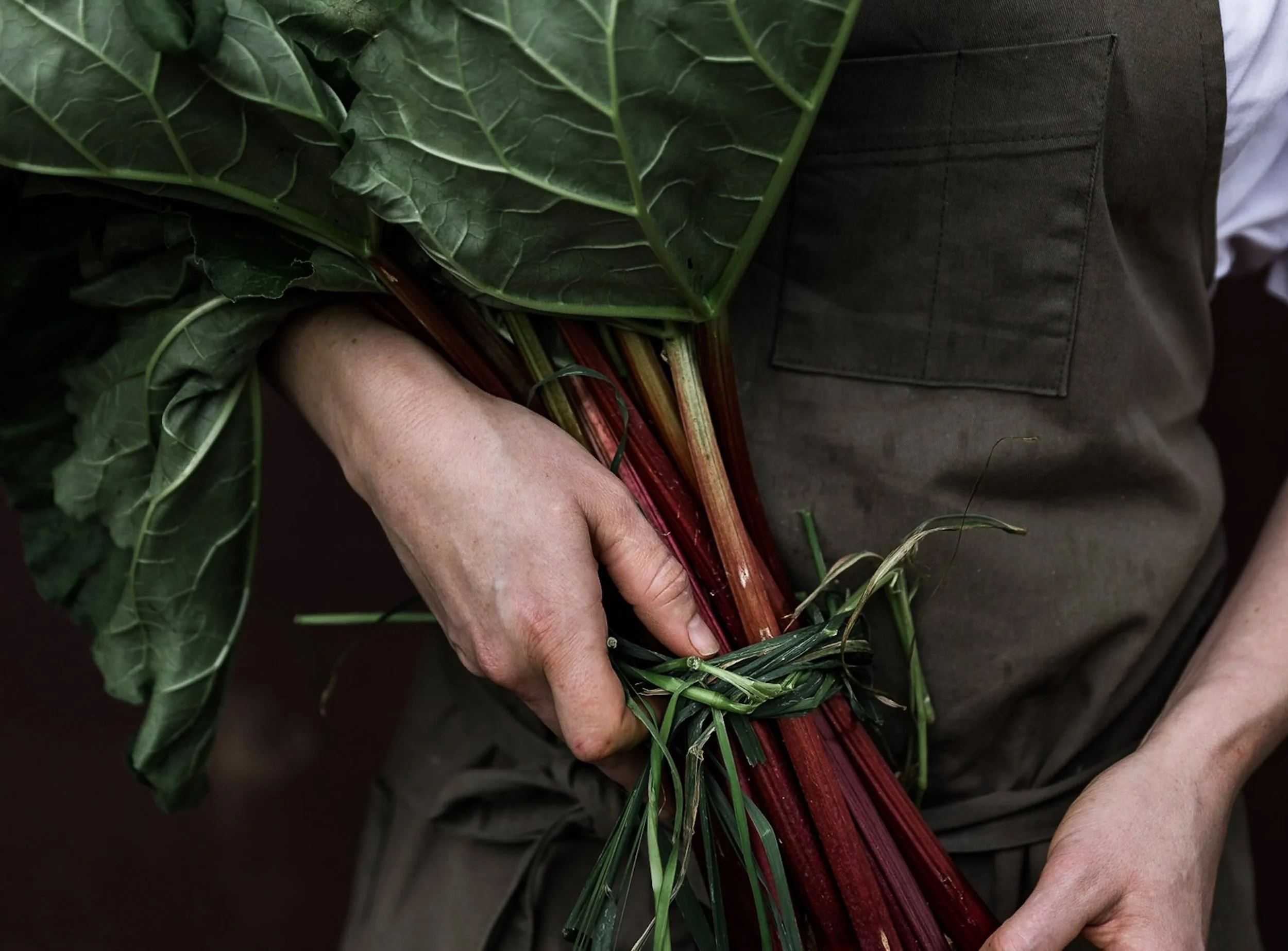 Beltana Farm | Truffle Hunts, Farm Stays, Dining & Events