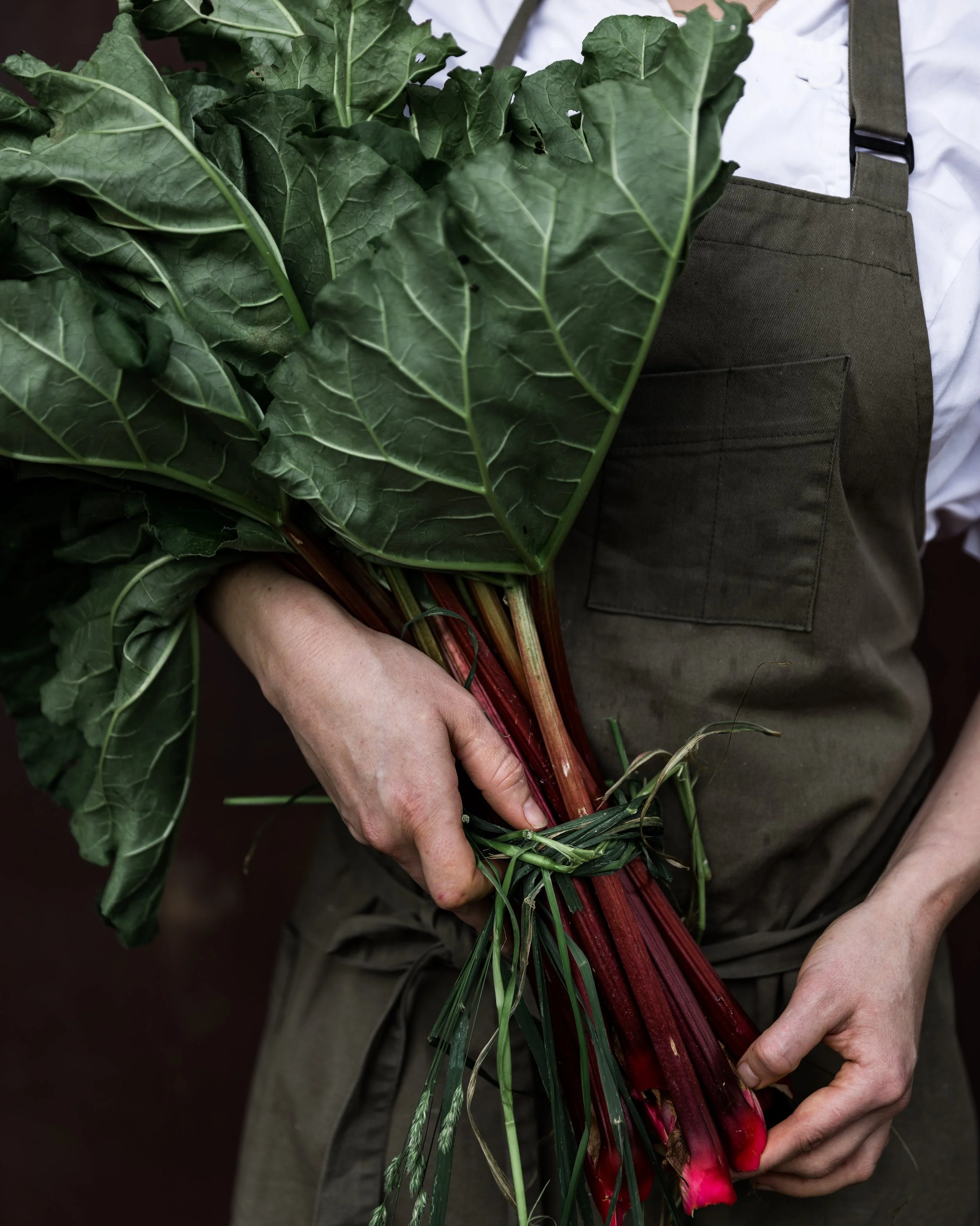 Beltana Farm | Truffle Hunts, Farm Stays, Dining & Events