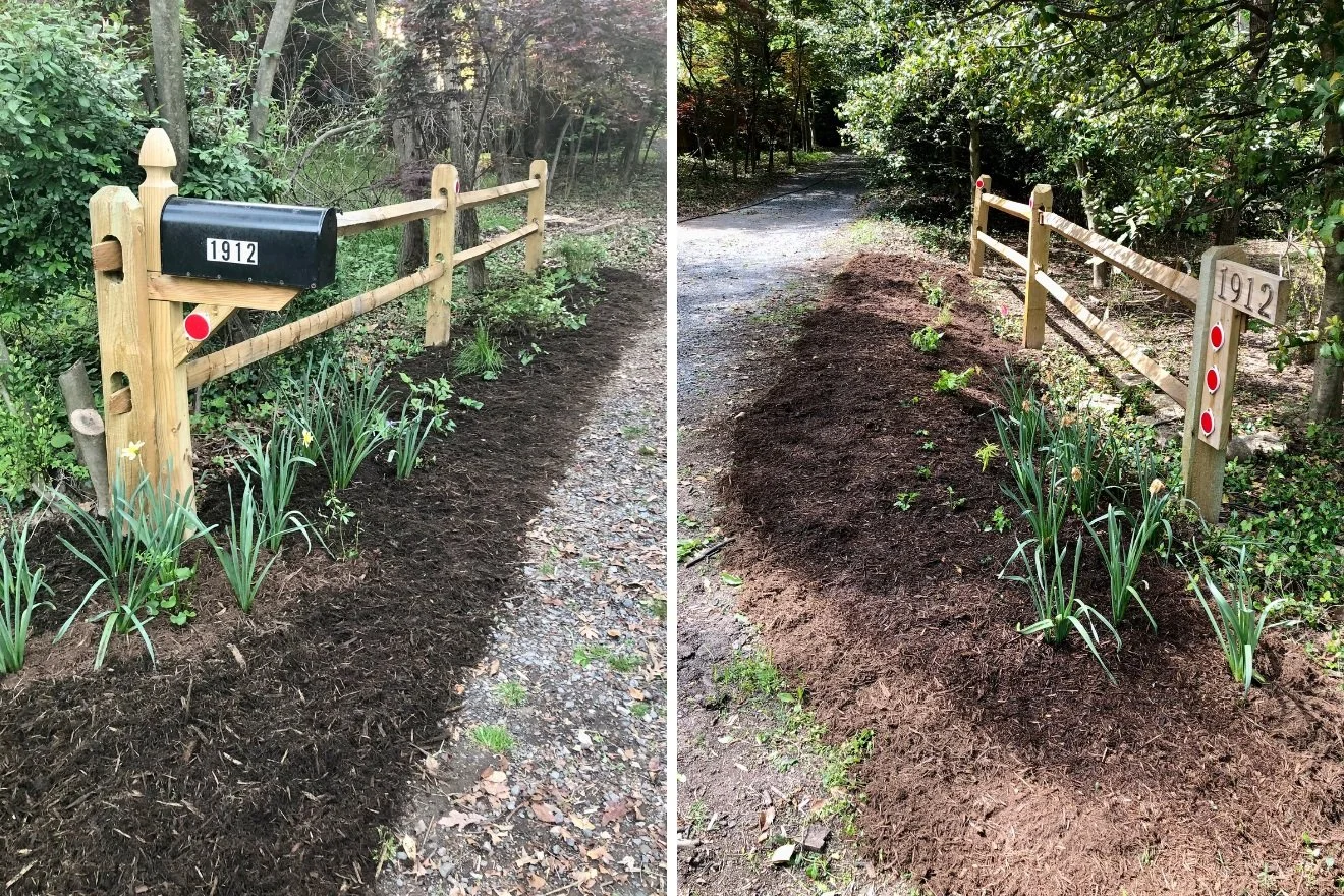 Right Plant, Right Place — Beloved Brook Natives