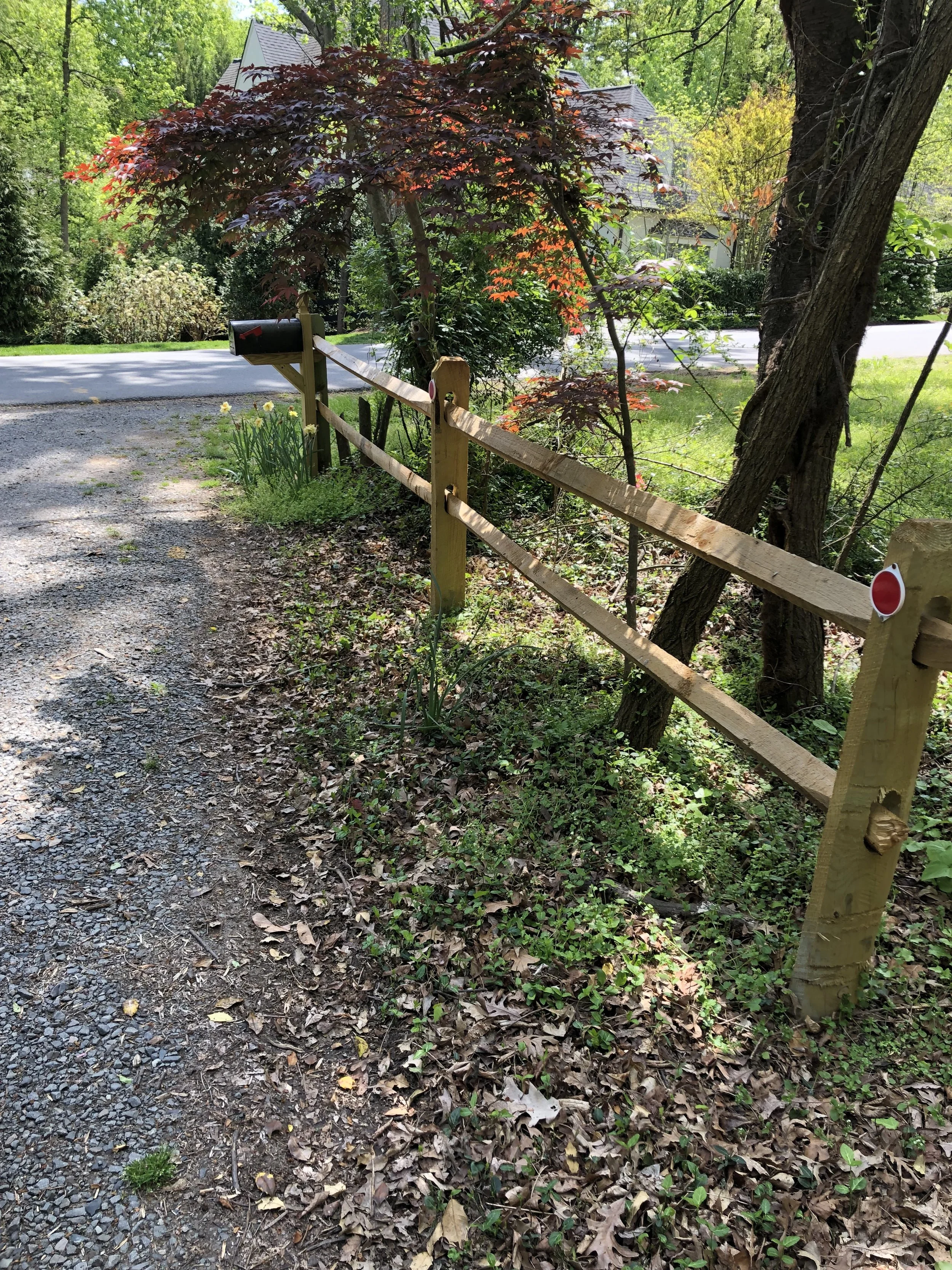 Right Plant, Right Place — Beloved Brook Natives