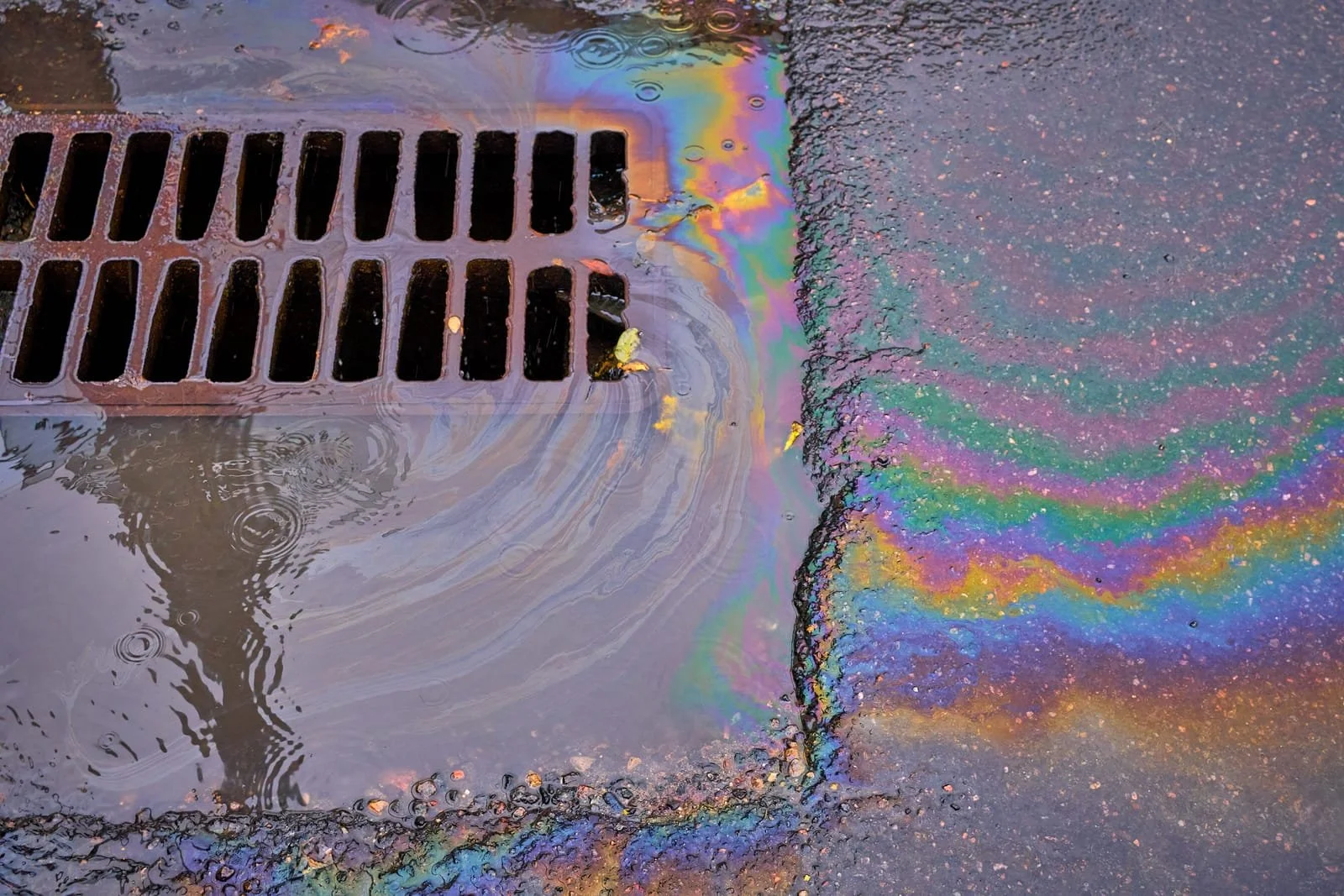 What Causes A Blocked Storm Water Drain & What To Do About It ...
