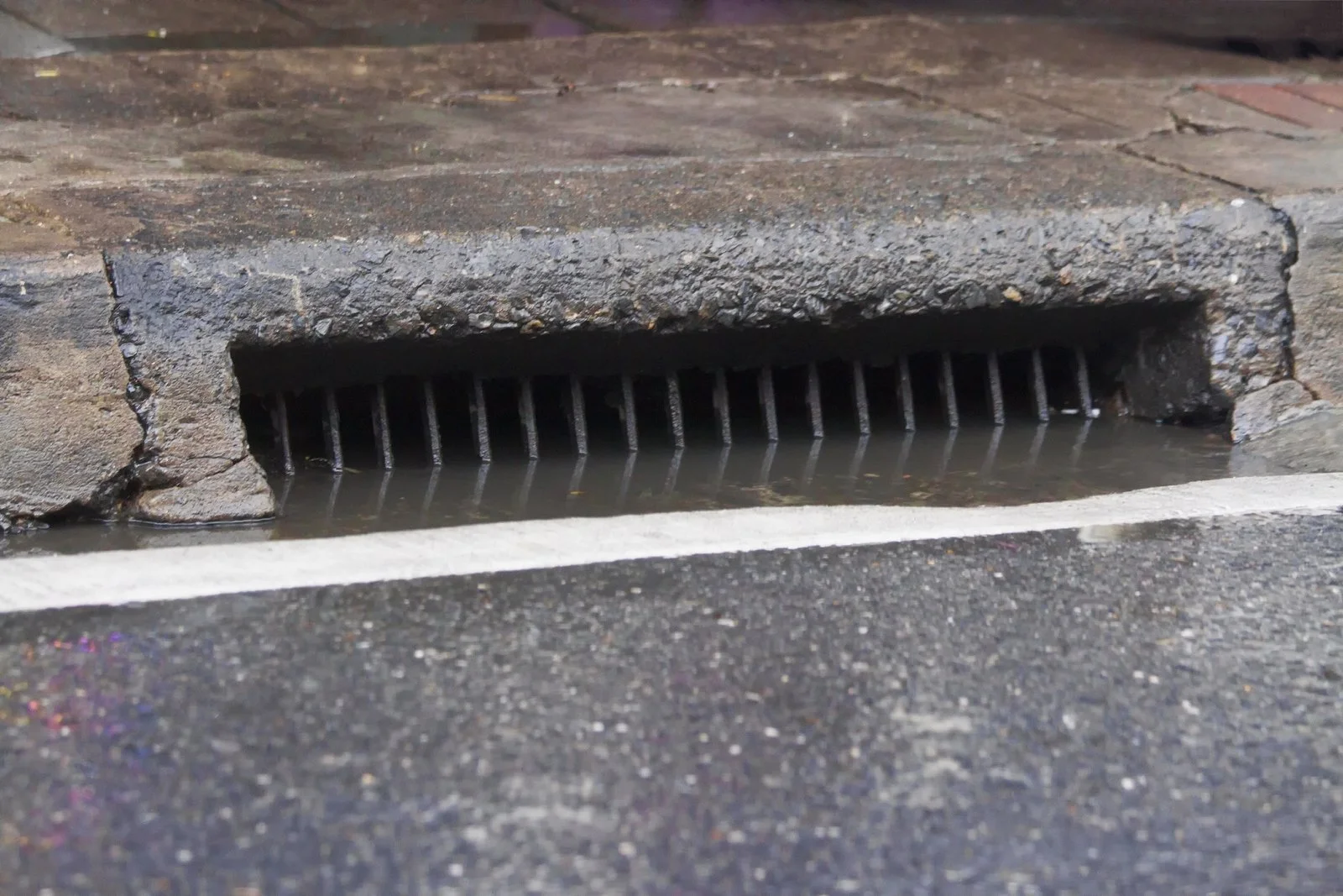 What Causes A Blocked Storm Water Drain & What To Do About It ...