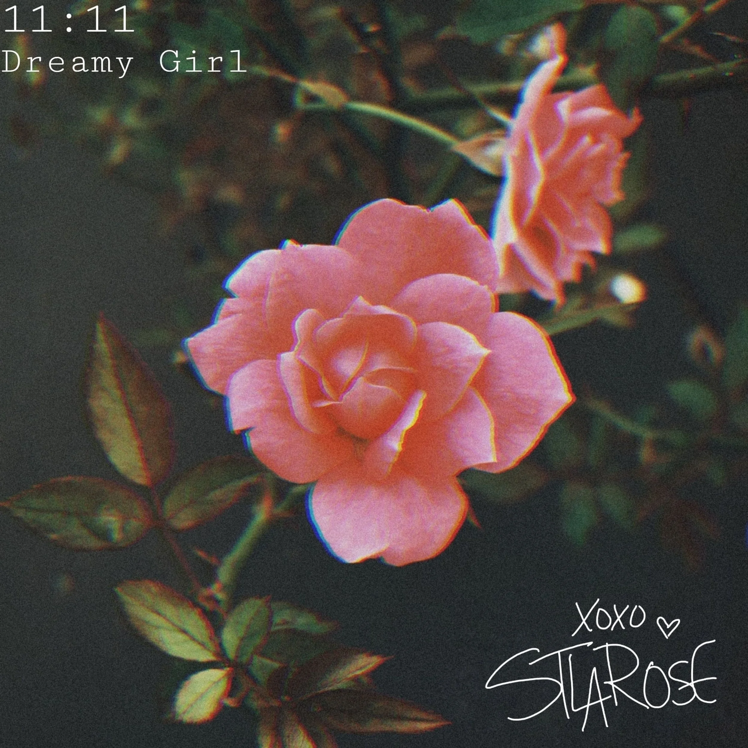 Catalog — STLA ROSE