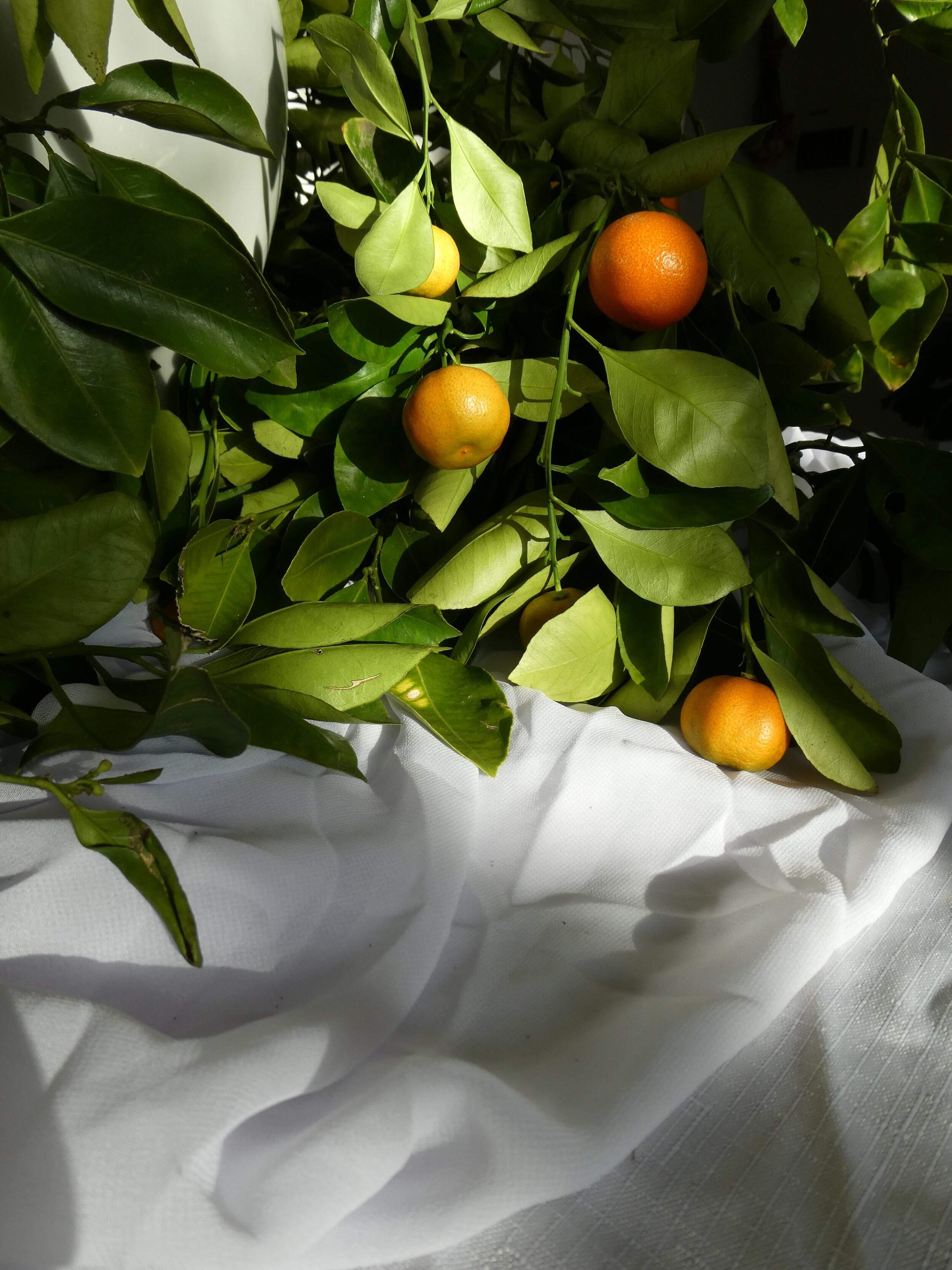 Melbourne Event Floral Design | April & Fritz