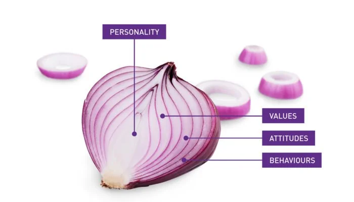 Attitudes & Behaviour - The Onion Model — Ali Stewart & Co