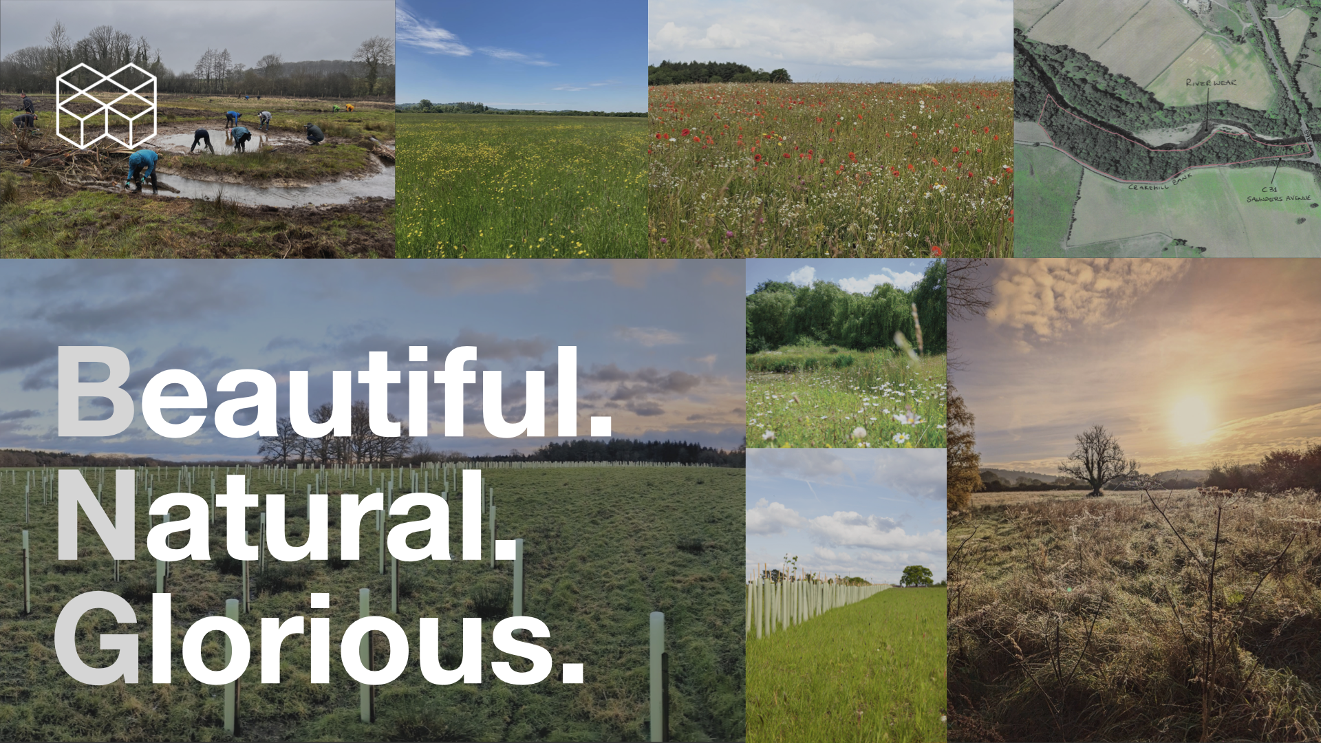 Biodiversity Units UK — Revealed: The BNG Industry Report July 2025