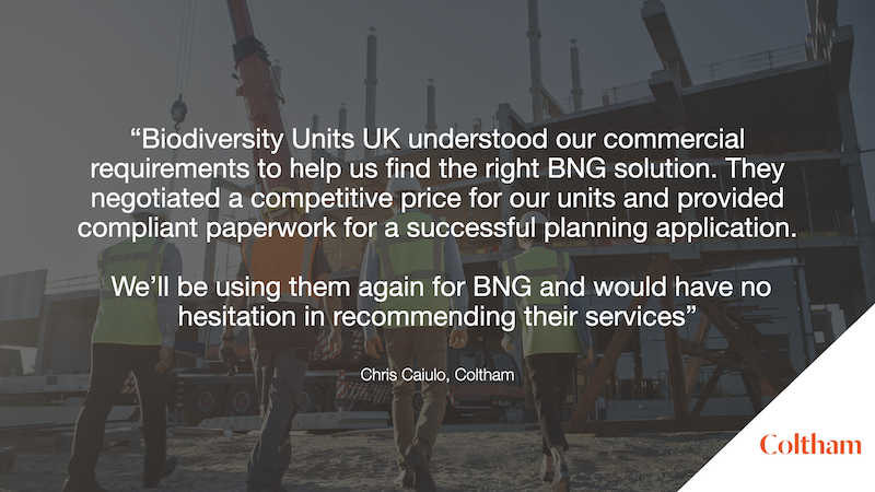 Biodiversity Units UK — BNG Advice for Developers | BNG for Developers