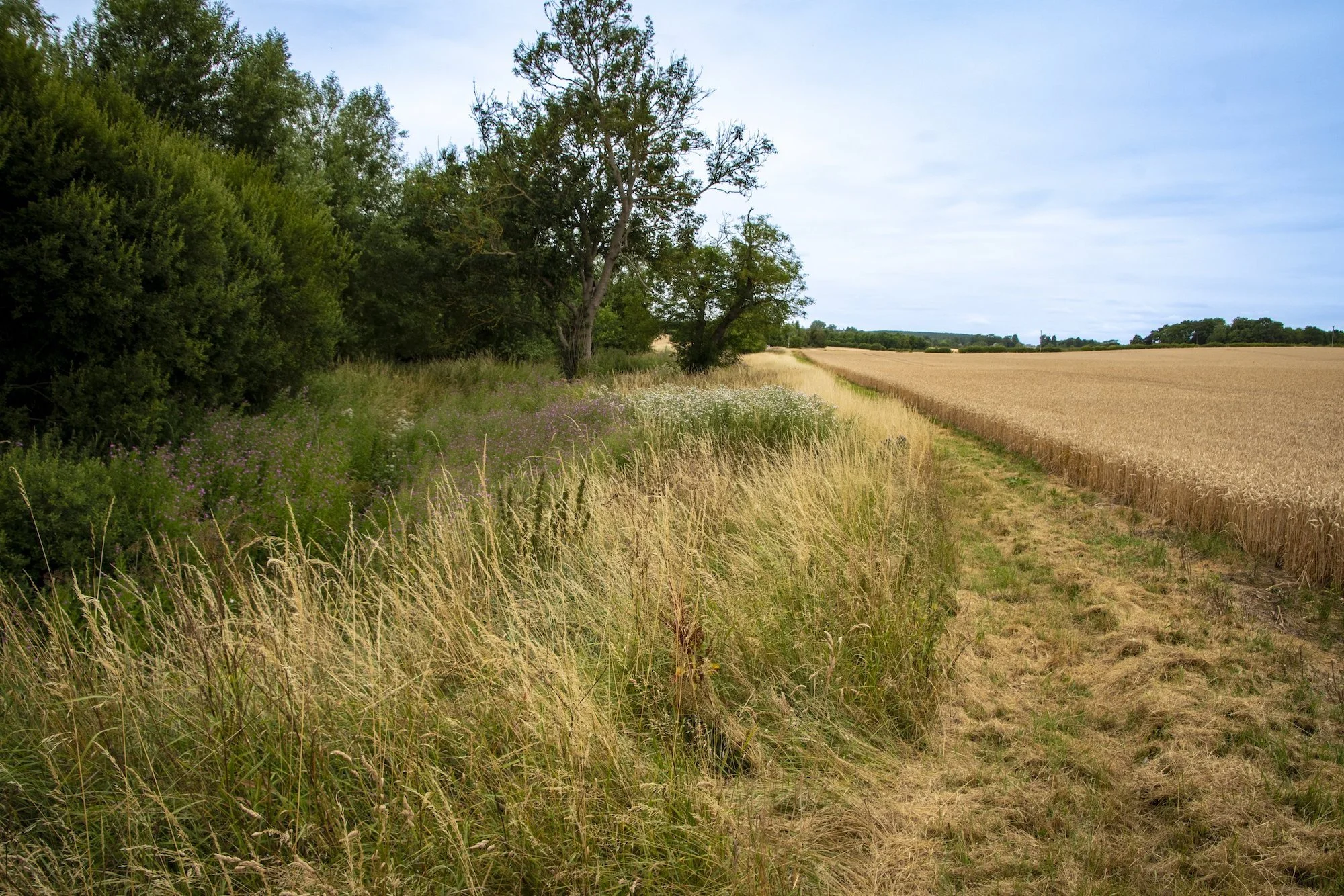 Biodiversity Units UK