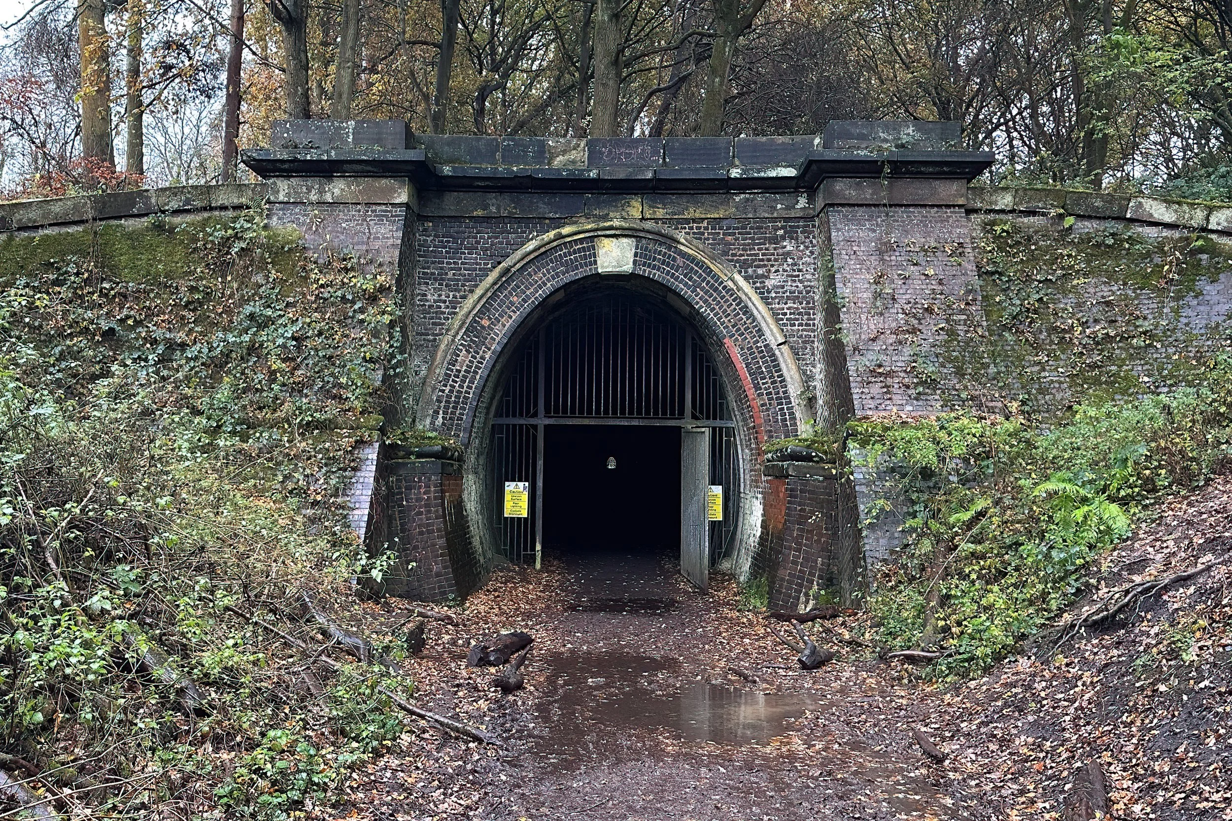 In Search of Overwintering Herald Moths in the Kelmarsh and Oxendon ...
