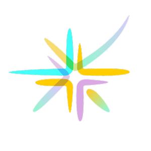 Lumeo Health Information System