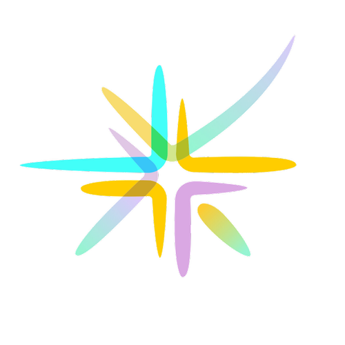 Lumeo Health Information System