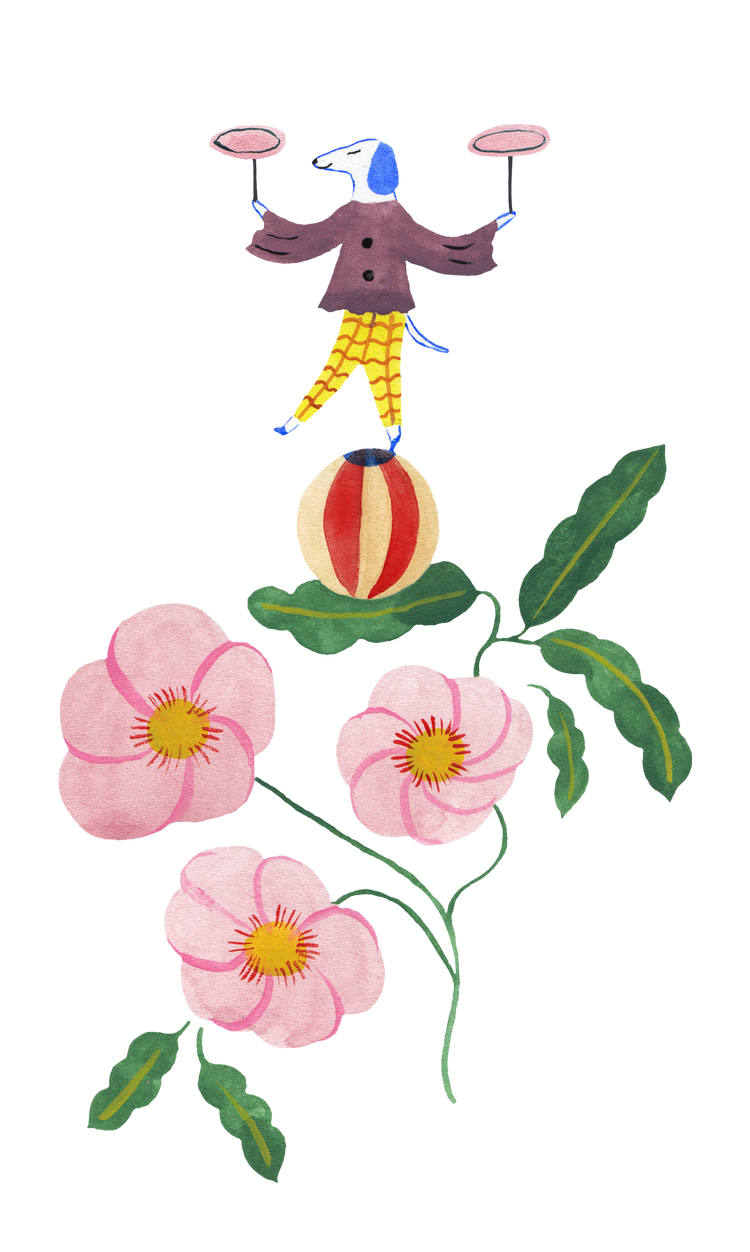 Flower Circus (pattern collection) — Coucou illustration