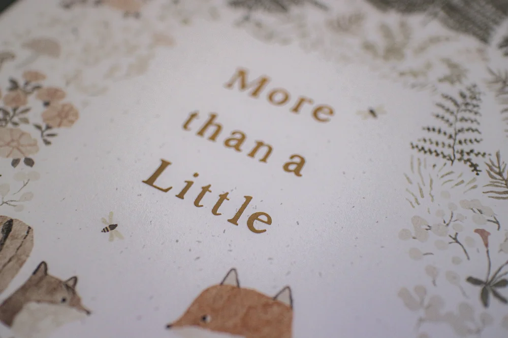 More than a little - PICTURE BOOK — Coucou illustration