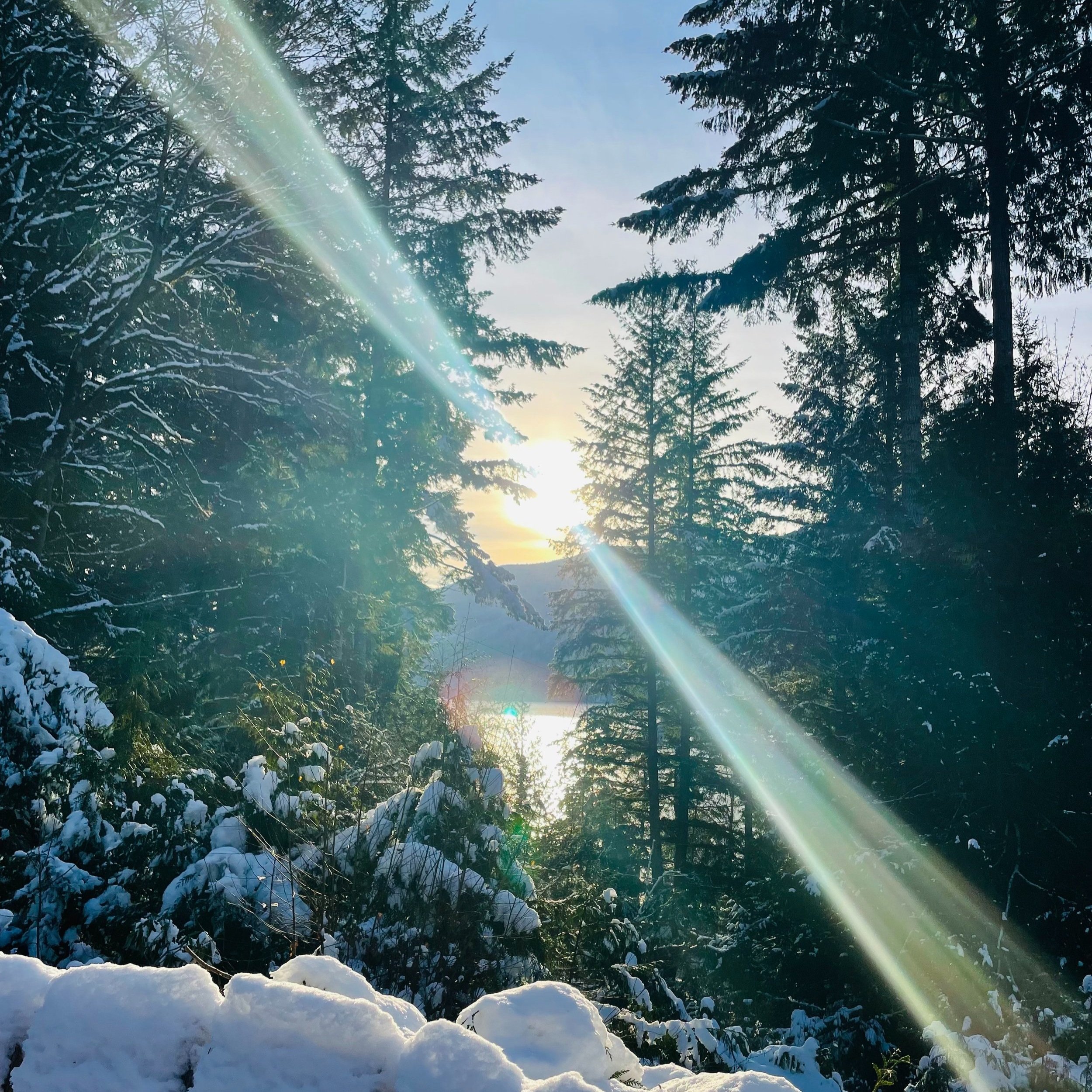 The Jefferson County Beacon