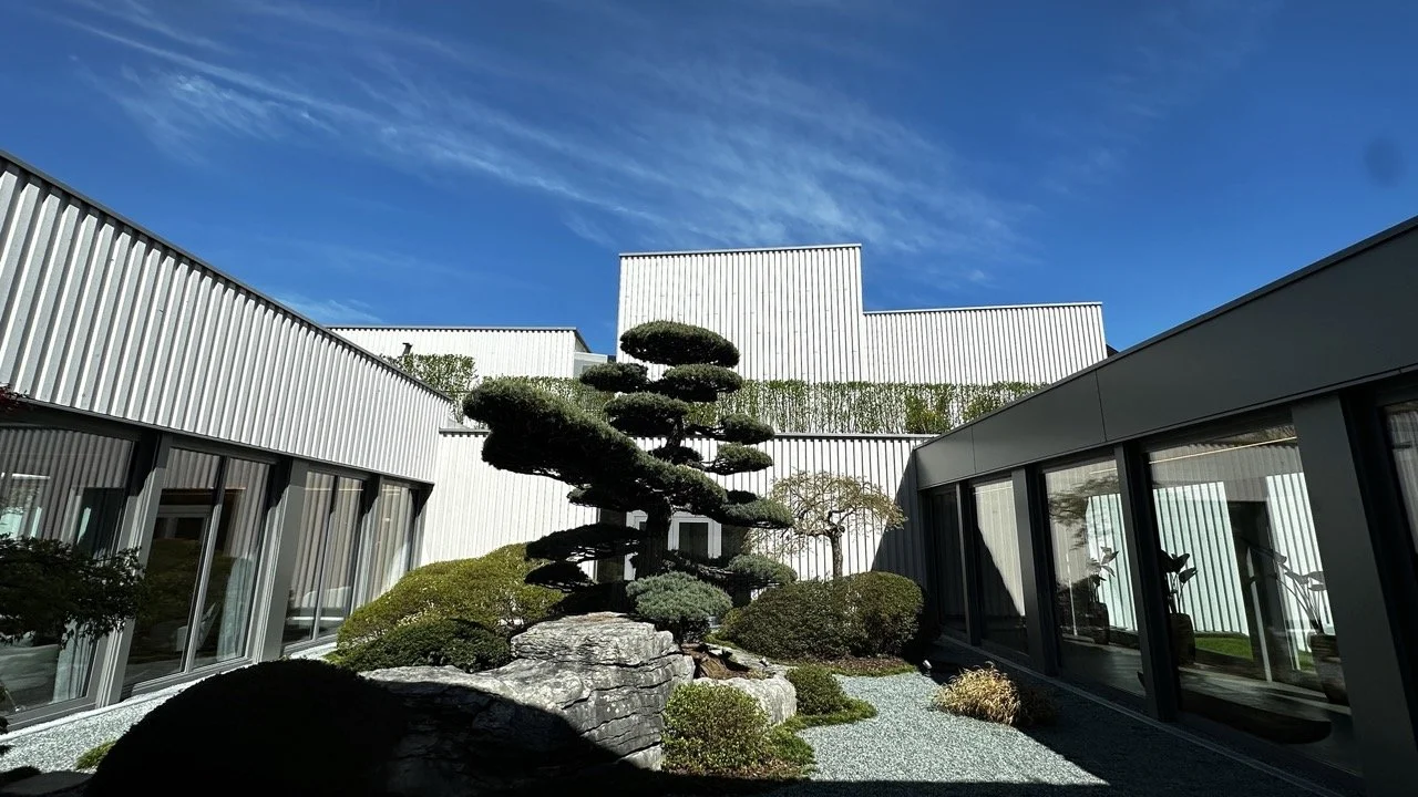 19 Reasons to Love Chenot Palace Weggis: A Luxurious Wellness Retreat ...