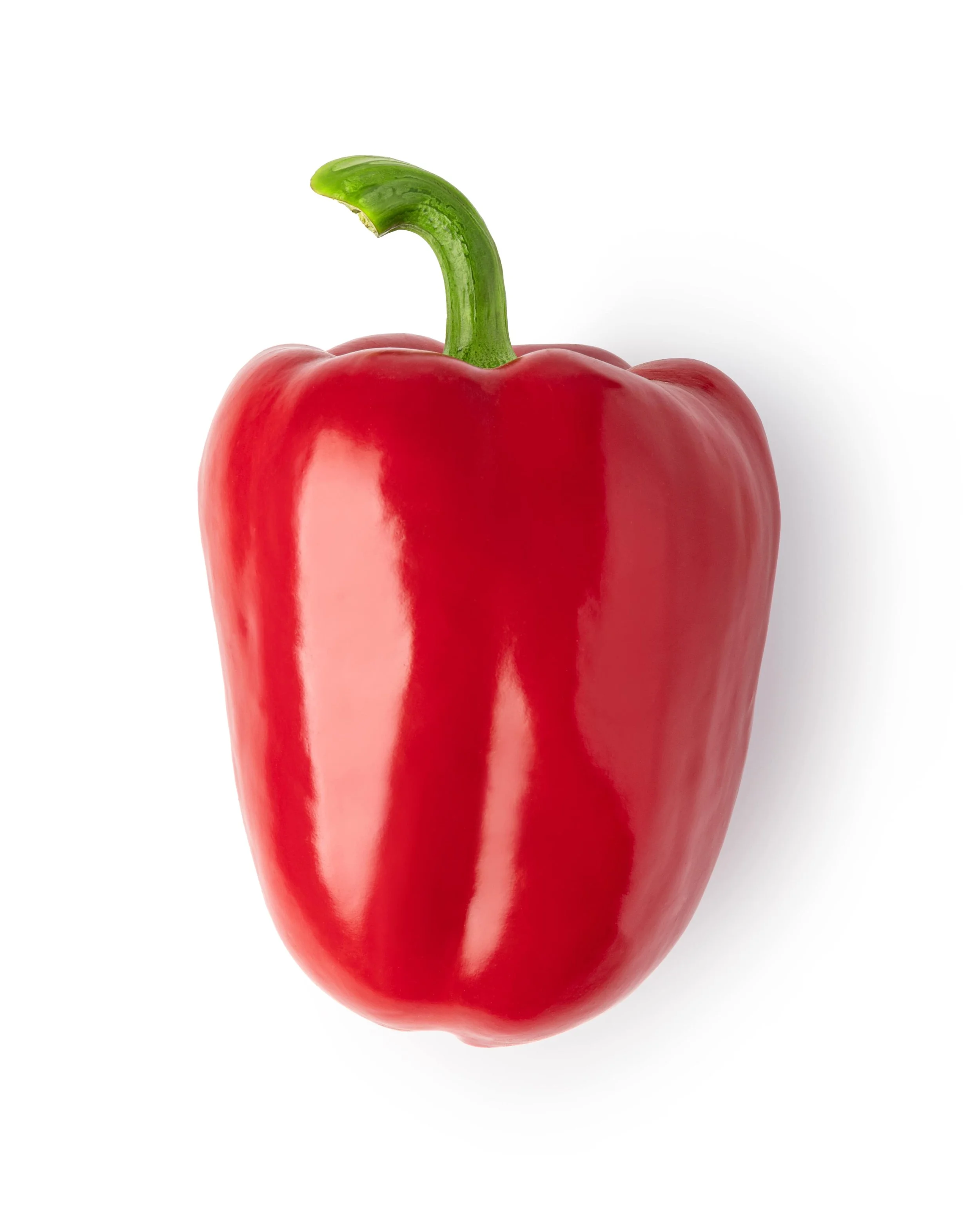 Gözel Seeds | Vegetable Seed Breeding Company