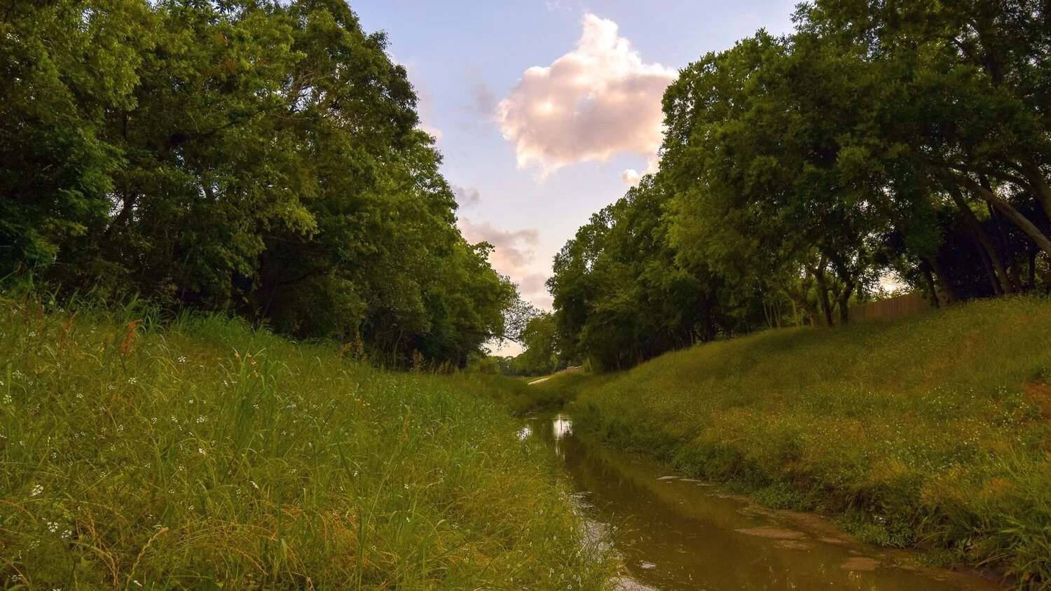 Willow Waterhole Bayou — Willow Waterhole