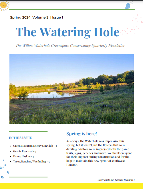 Willow Waterhole