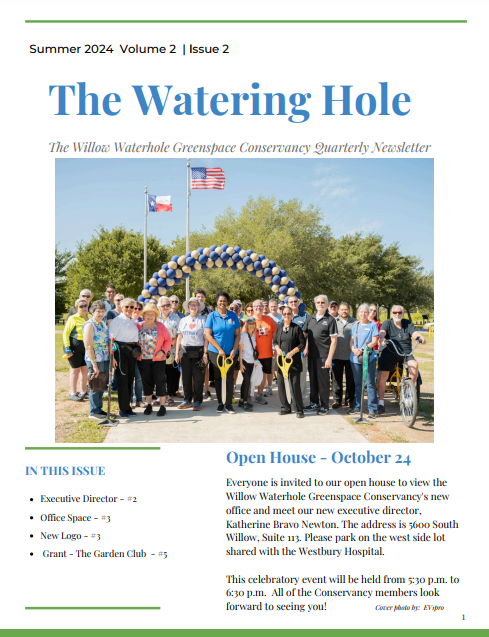 Willow Waterhole