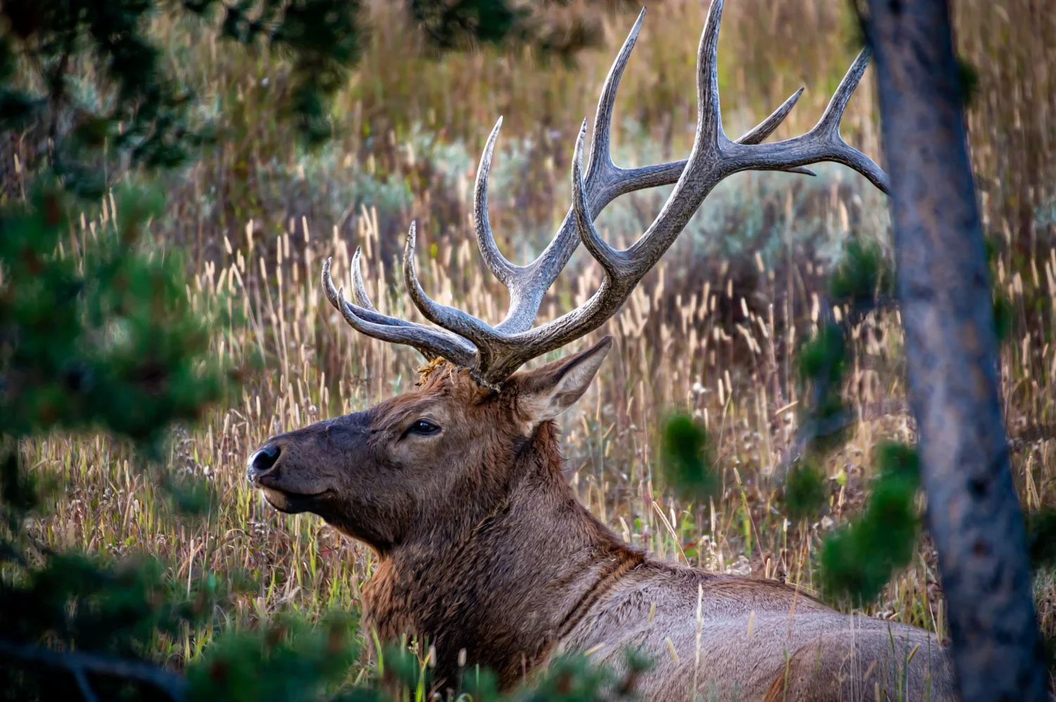Wyoming — Rusty Hamilton Photography | Landscape and Nature Photographer