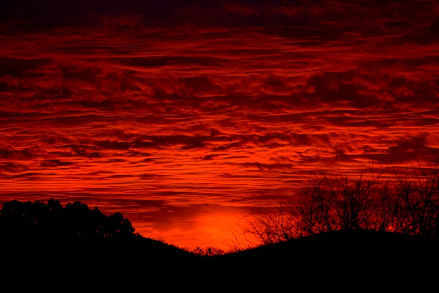 About — Rusty Hamilton Photography | Landscape and Nature Photographer