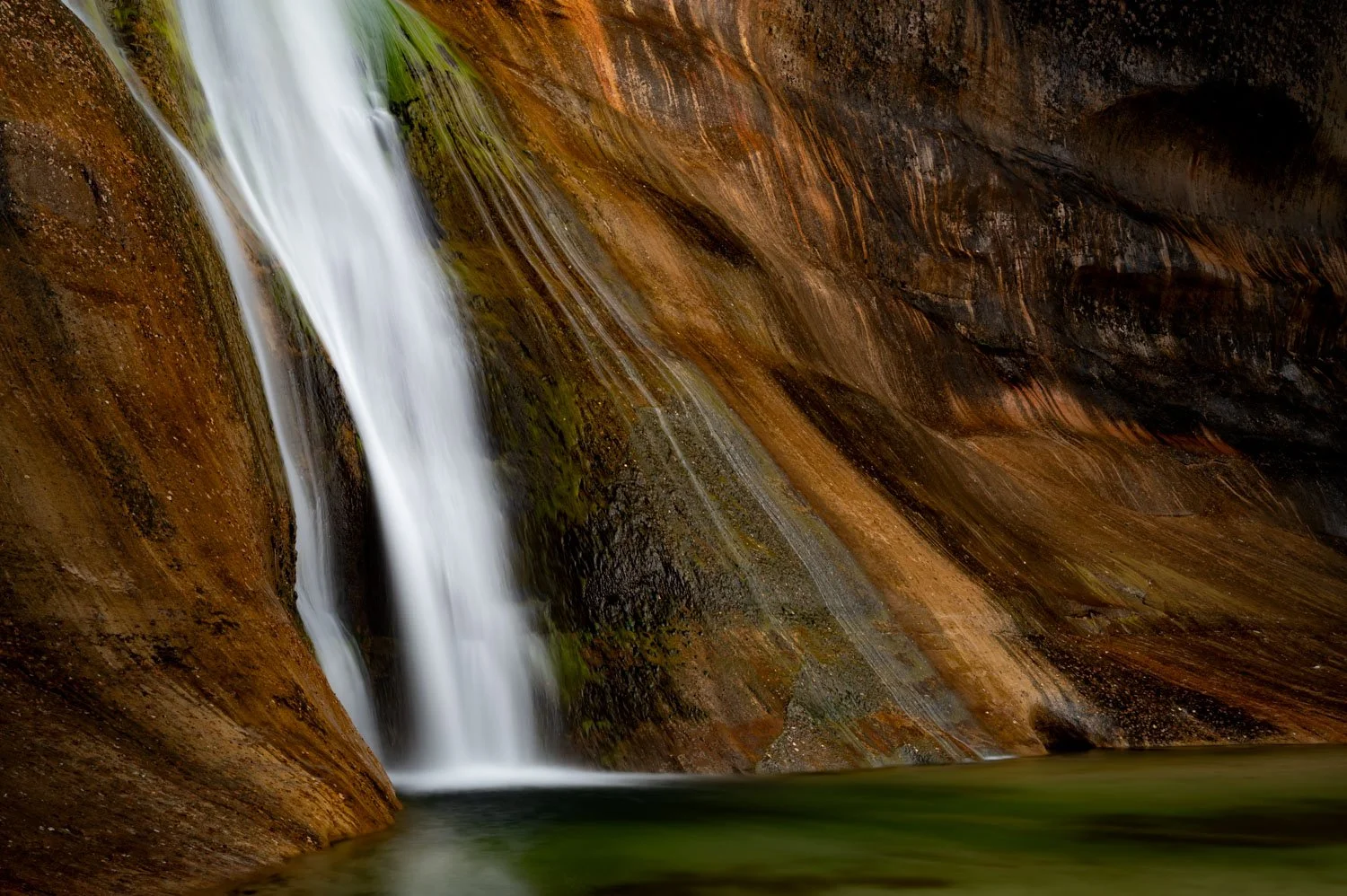 About — Rusty Hamilton Photography | Landscape and Nature Photographer