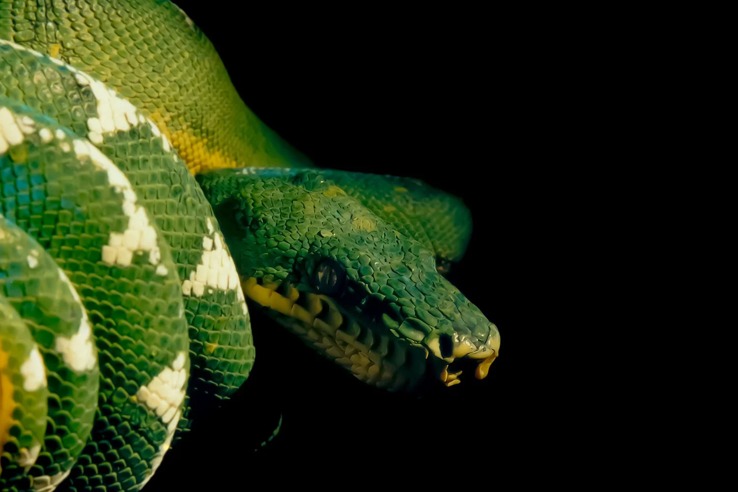 About — Rusty Hamilton Photography | Landscape and Nature Photographer