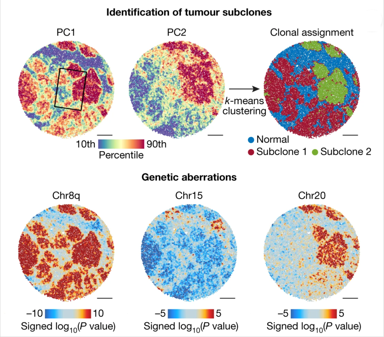 Spatial Biology — The Chen Lab